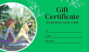 Programs | Sivananda Yoga Farm | Northern California
